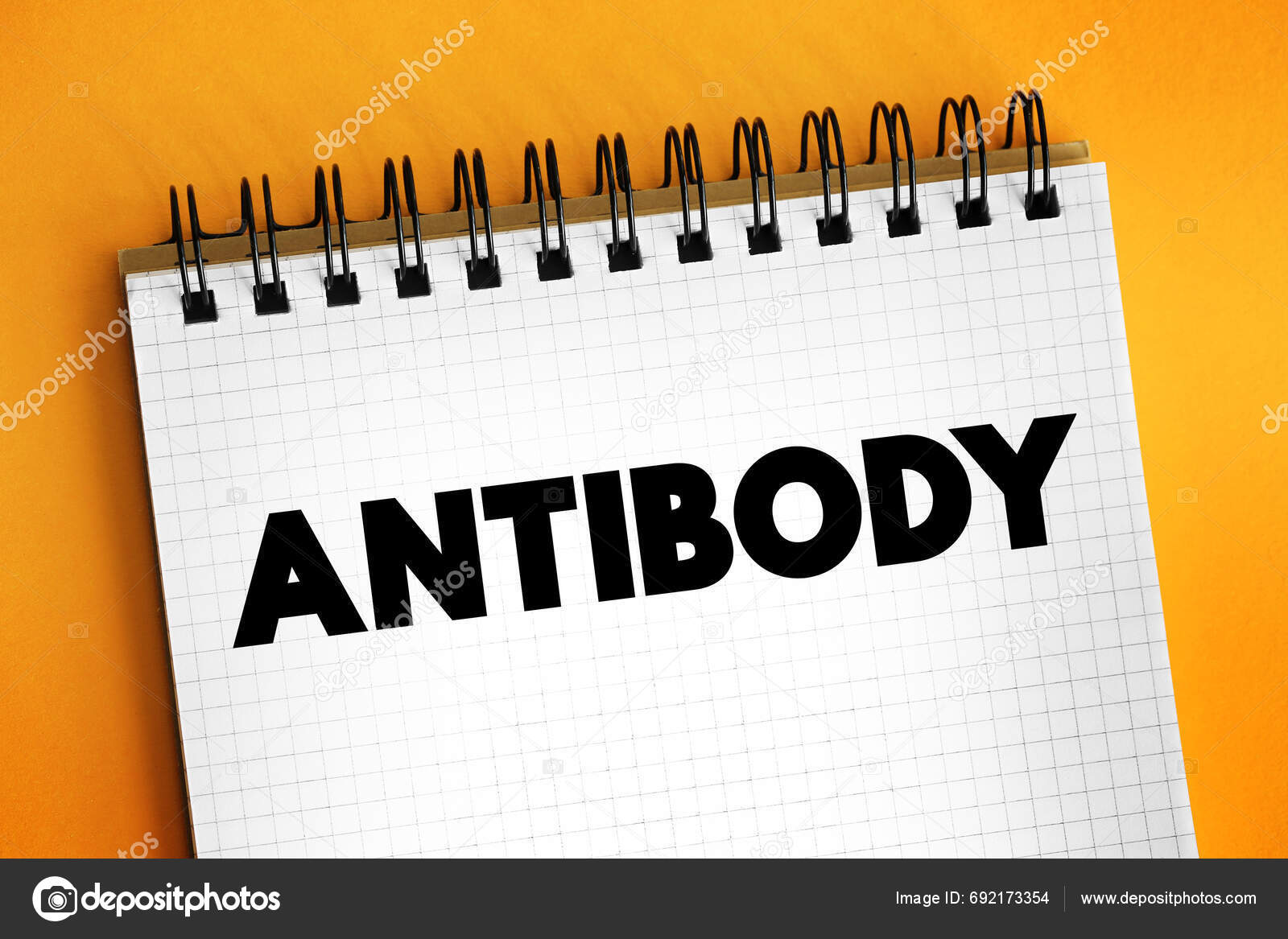 Antibody Large Shaped Protein Used Immune System Identify Neutralize ...