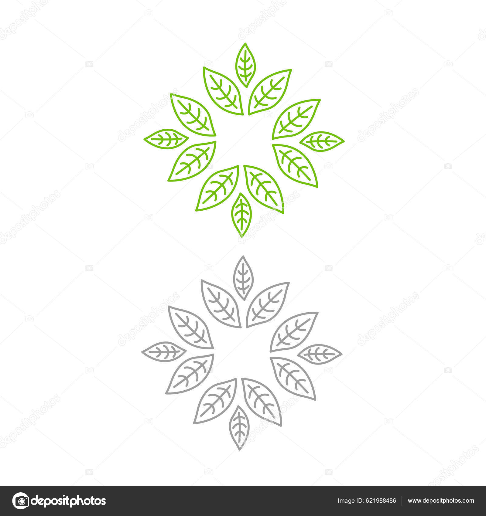 Natural Design Leaves Isolated White Stock Vector by ©BEEANDGLOW 621988486