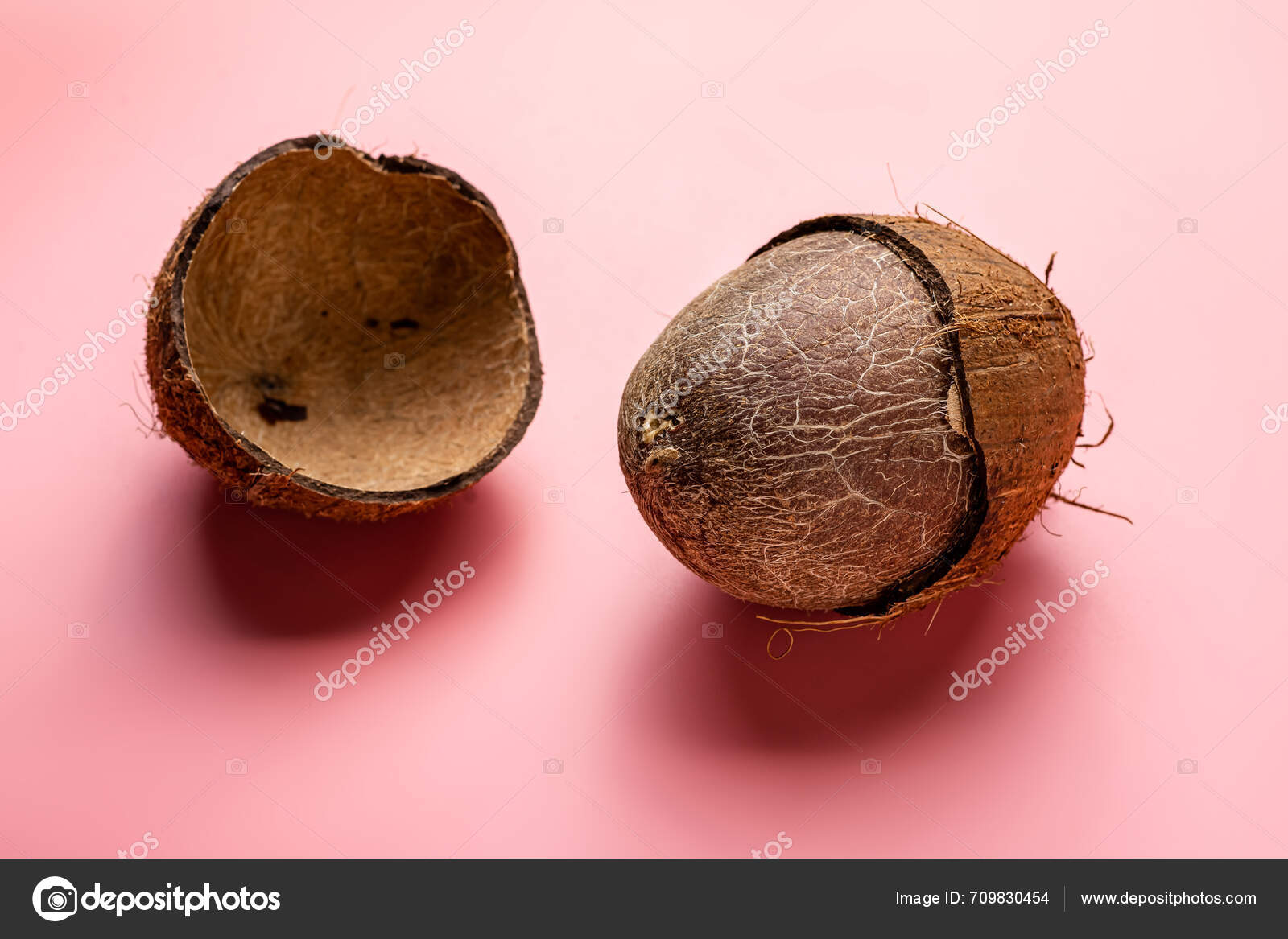 Two Coconuts Shown One Which Open Other Closed Coconuts Pink — Stock ...