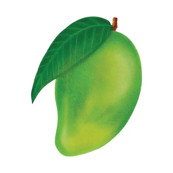 26,434,516 Green mango Vector Images | Depositphotos