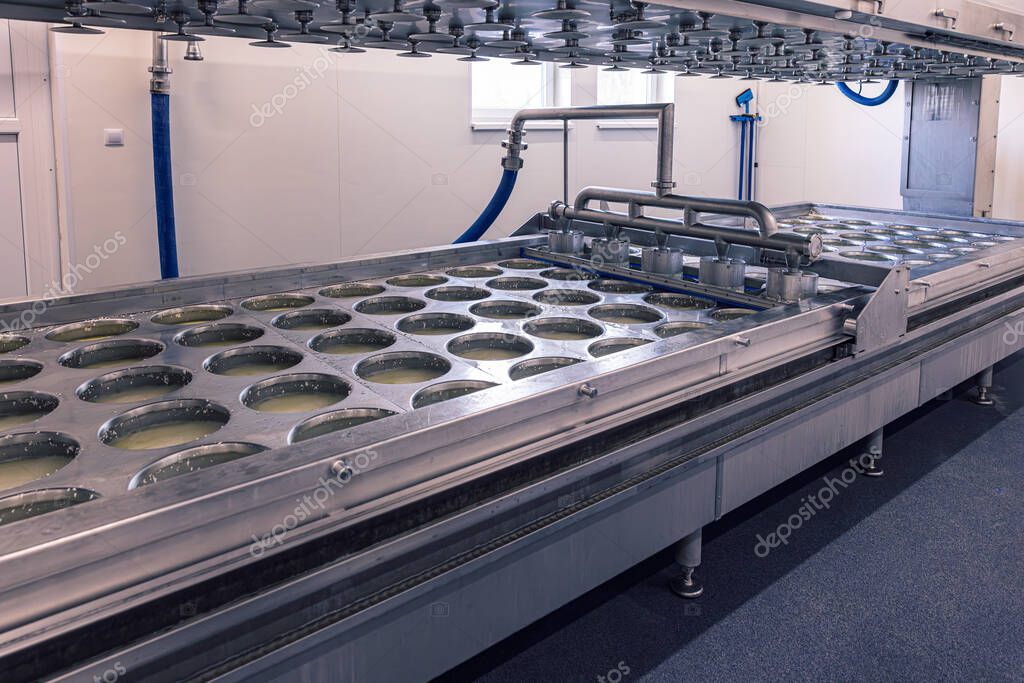 Proceso de fabricaci n de queso industrial que muestra la cuajada que se separa del suero en la ...