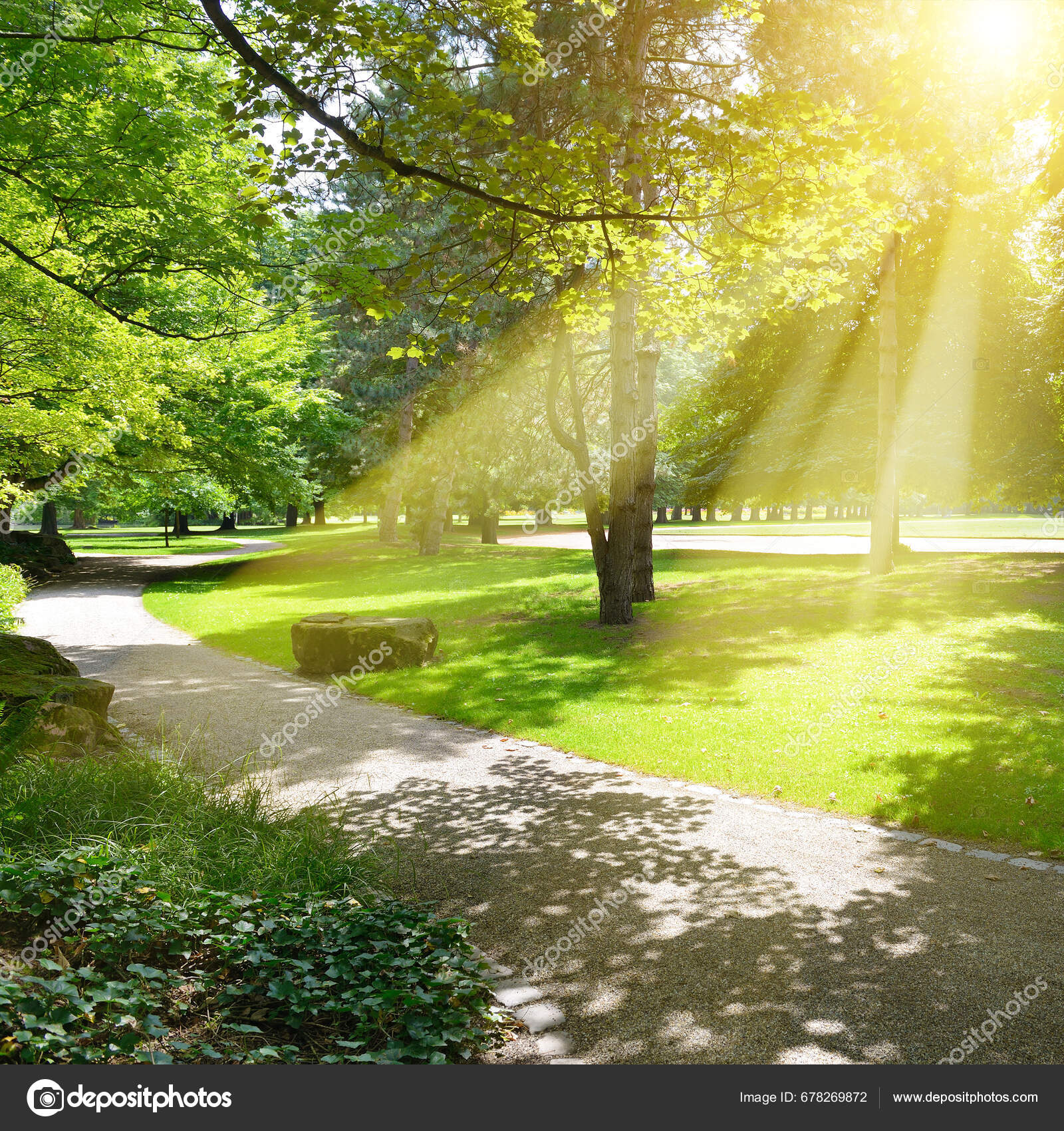 Rayo Sol Hermoso Parque — Foto de stock © Serg64 #678269872