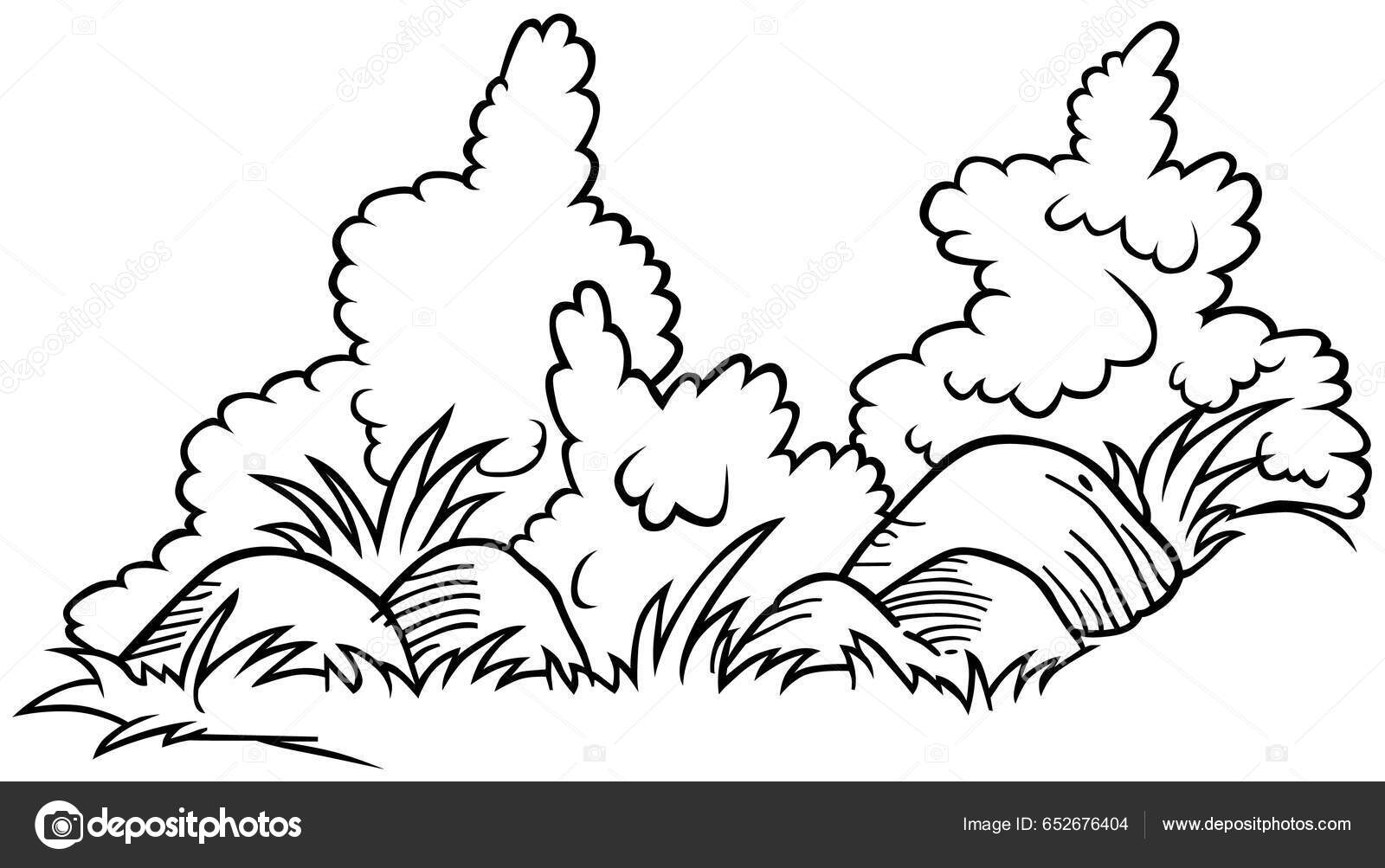 Drawing Bushes Boulders Grass Cartoon Illustration Isolated White ...