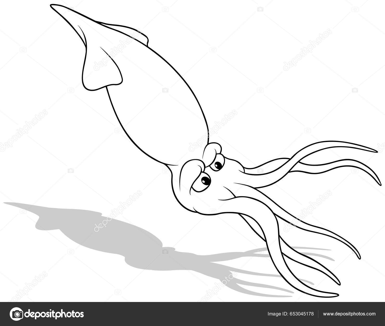 Squid Cartoon Drawing
