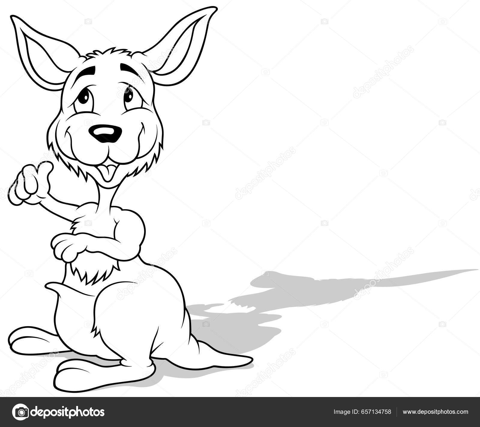 Kangaroo Cartoon Drawing