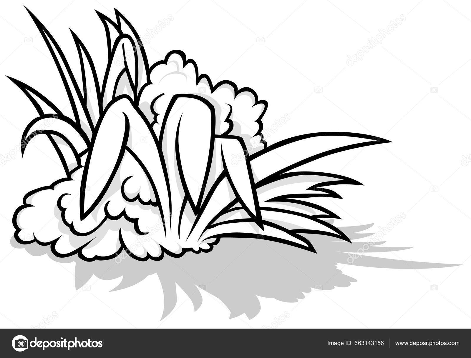 ภาพวาดของกล มหญ าชน ภาพวาดการ นแยกจากพ นหล ขาว เวกเตอร ภาพเวกเตอร์สต็อก ...