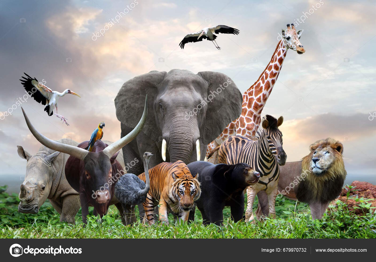 Grupo Animales Vida Silvestre Selva Juntos — Foto de stock © razihusin ...