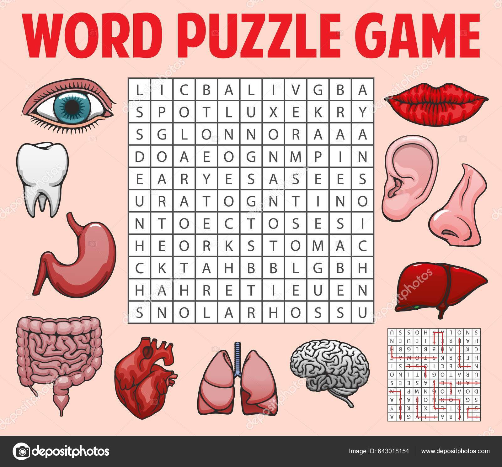 Human Organs Body Parts Word Search Puzzle Game Worksheet Quiz Vector ...