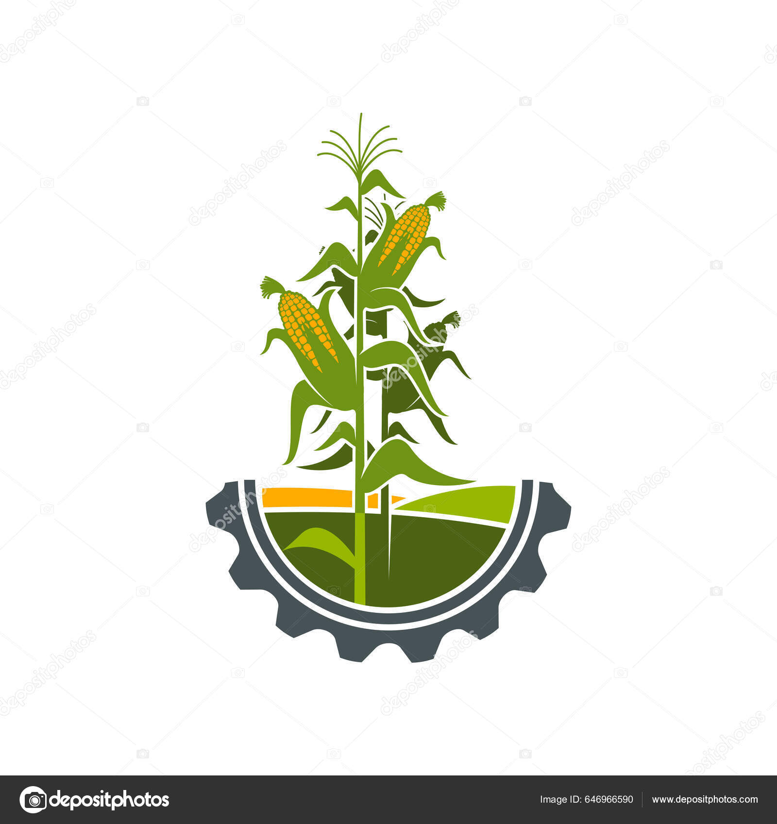 Corn Plant Icon