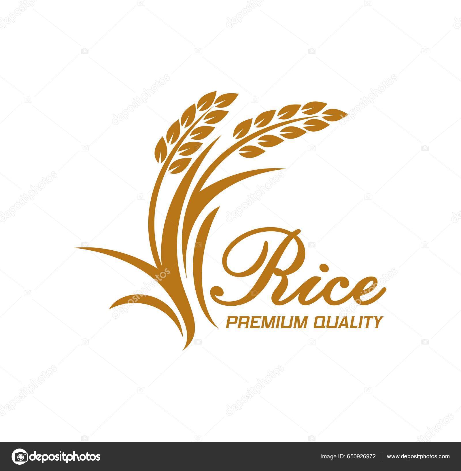 Rice Icon Vector Ears Cereal Food Plant Grains Organic Farm Stock ...