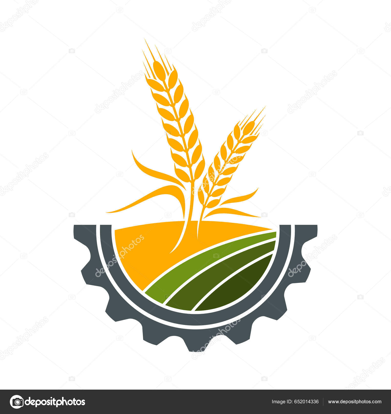 Ícone Agricultura Campo Trigo Espigas Centeio Fazenda Picos Cereais ...