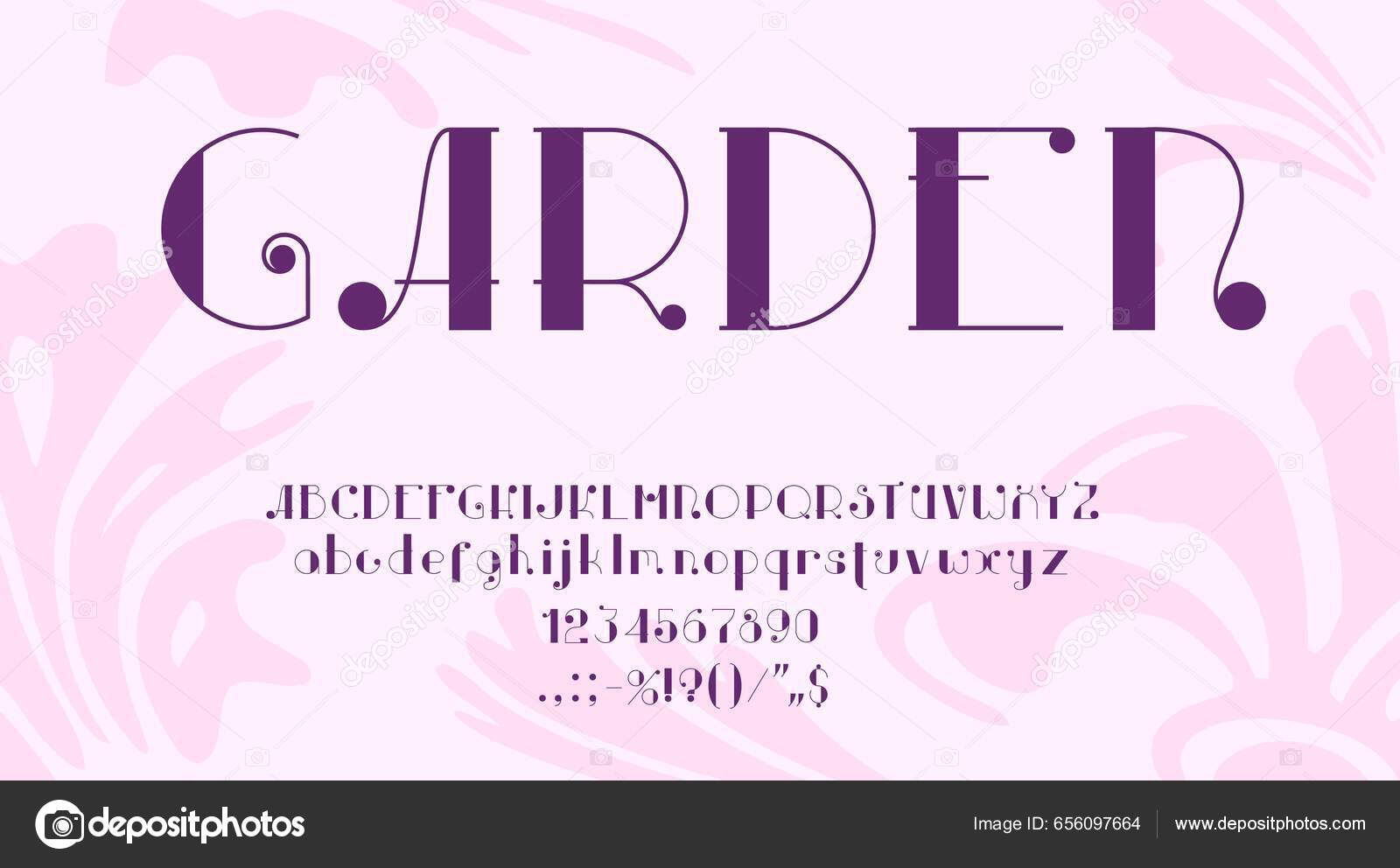 Elegant Monogram Font Type Typeface Romantic Alphabet Curve Lines ...