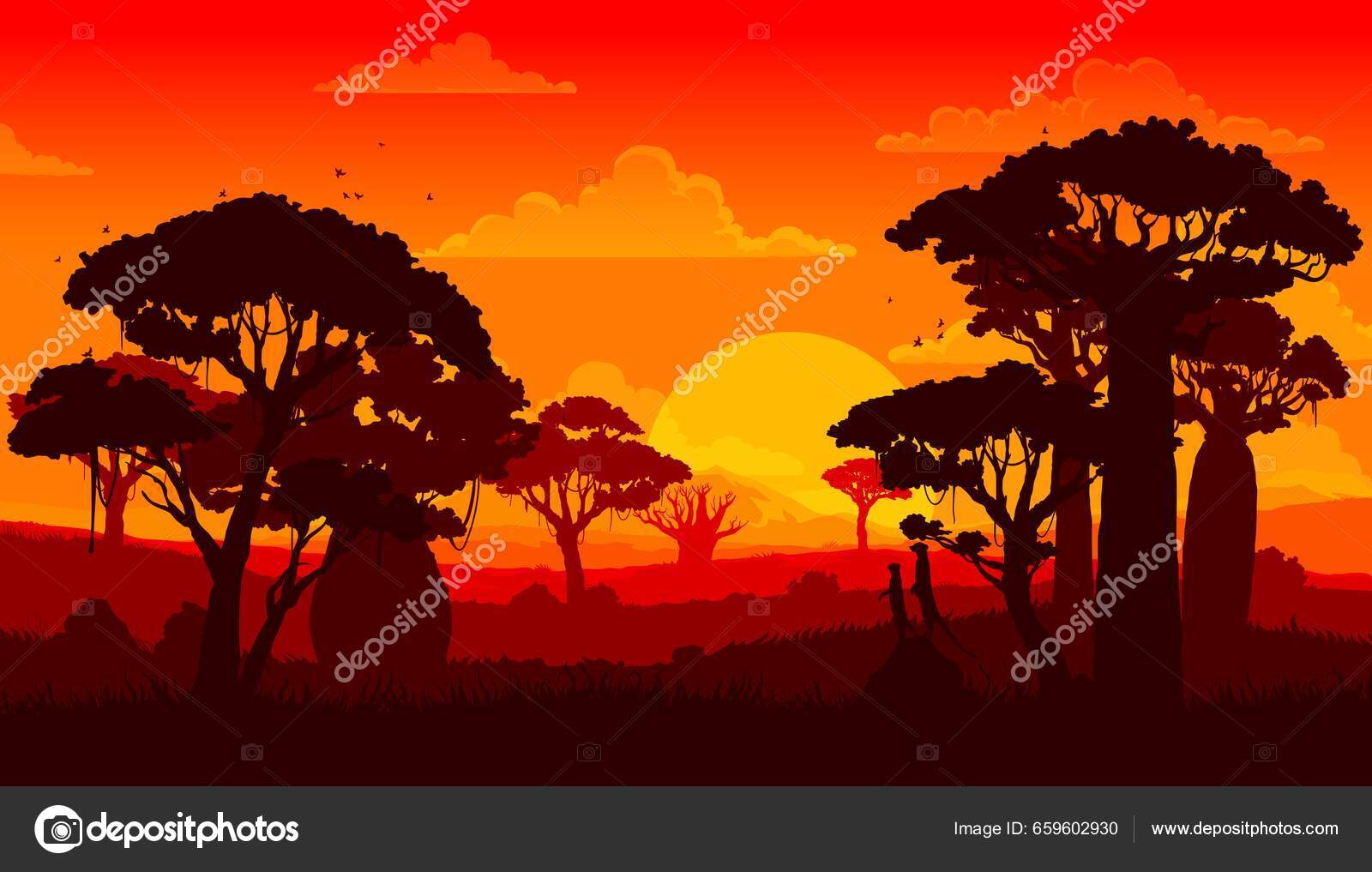 African Savannah Sunset Landscape Scenery Silhouette Vector Background Features Baobabs Stock ...