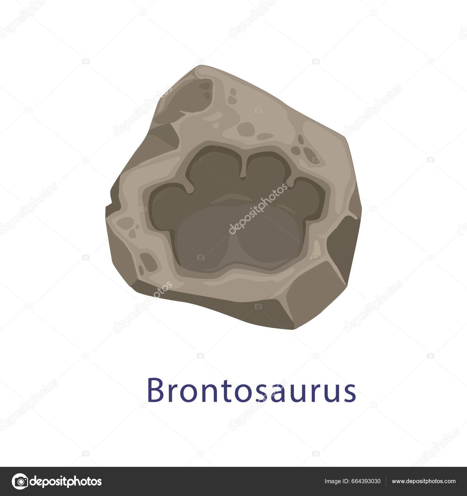Forntida Dinosaurie Fotavtryck Brontosaurus Fossil Enskild Vektor Dino ...