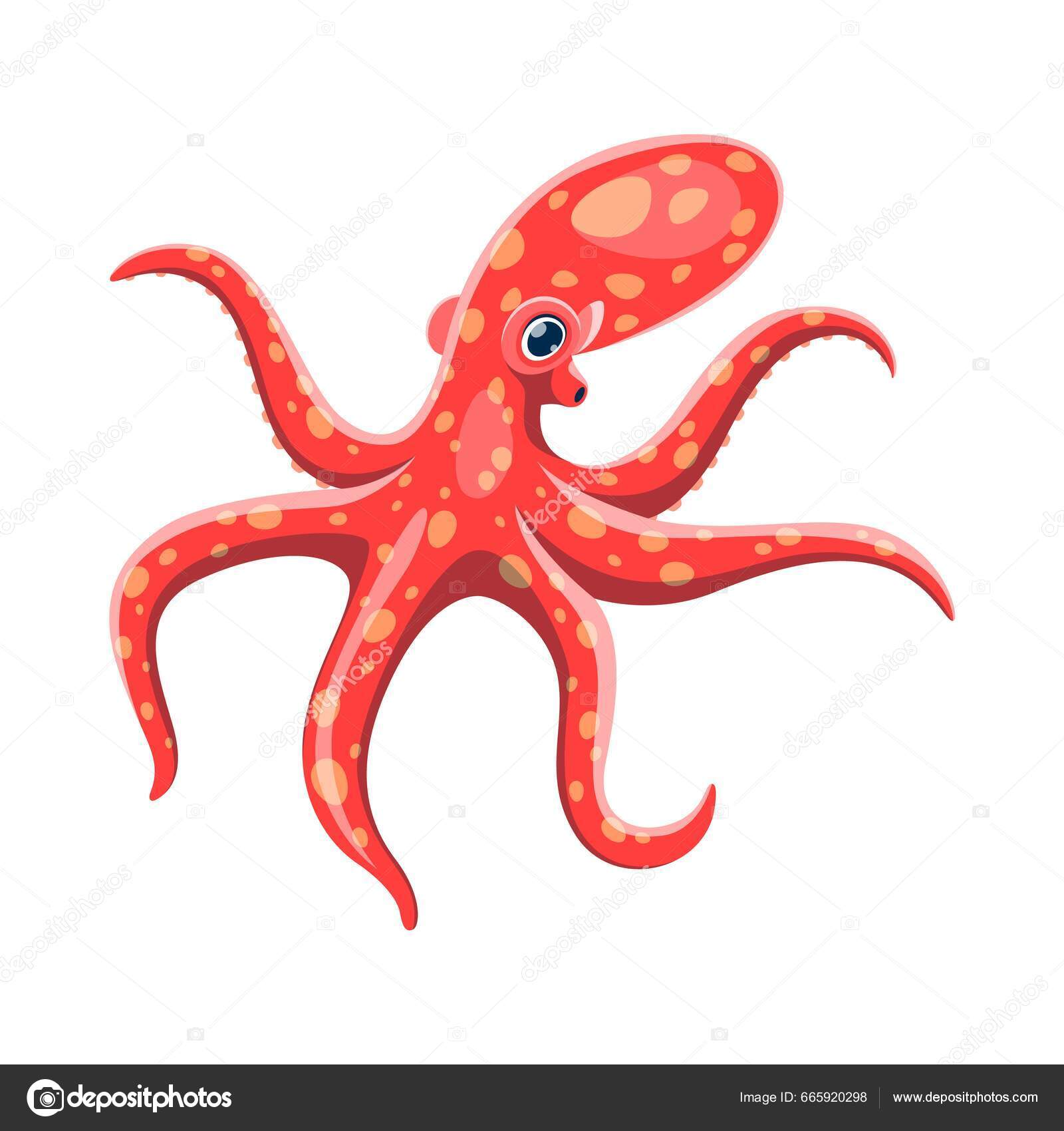 Octopus Character Isolated Cartoon Vector Intelligent Versatile ...