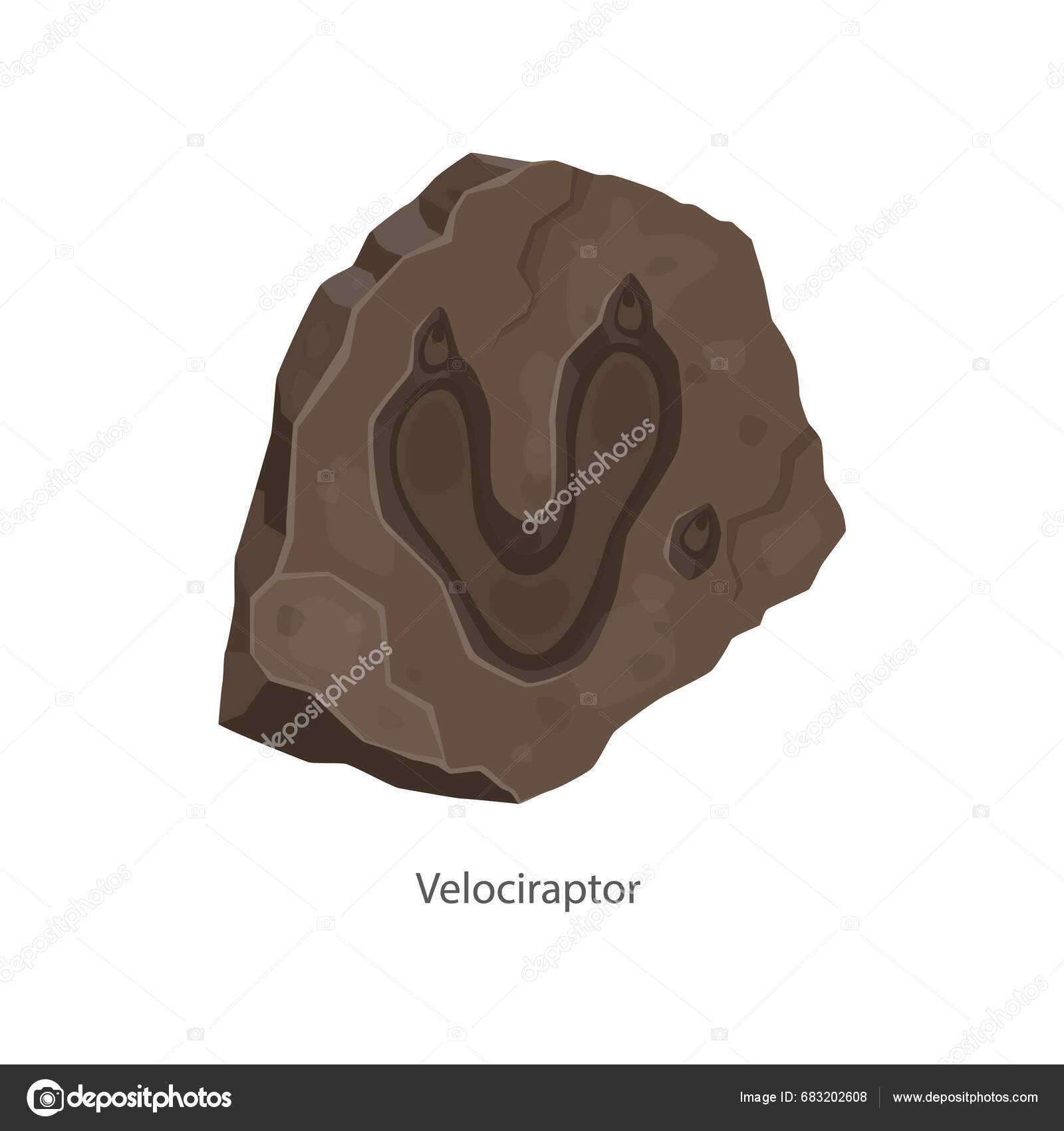 Ancient Velociraptor Dinosaur Footprint Archeology Fossil Prehistory ...