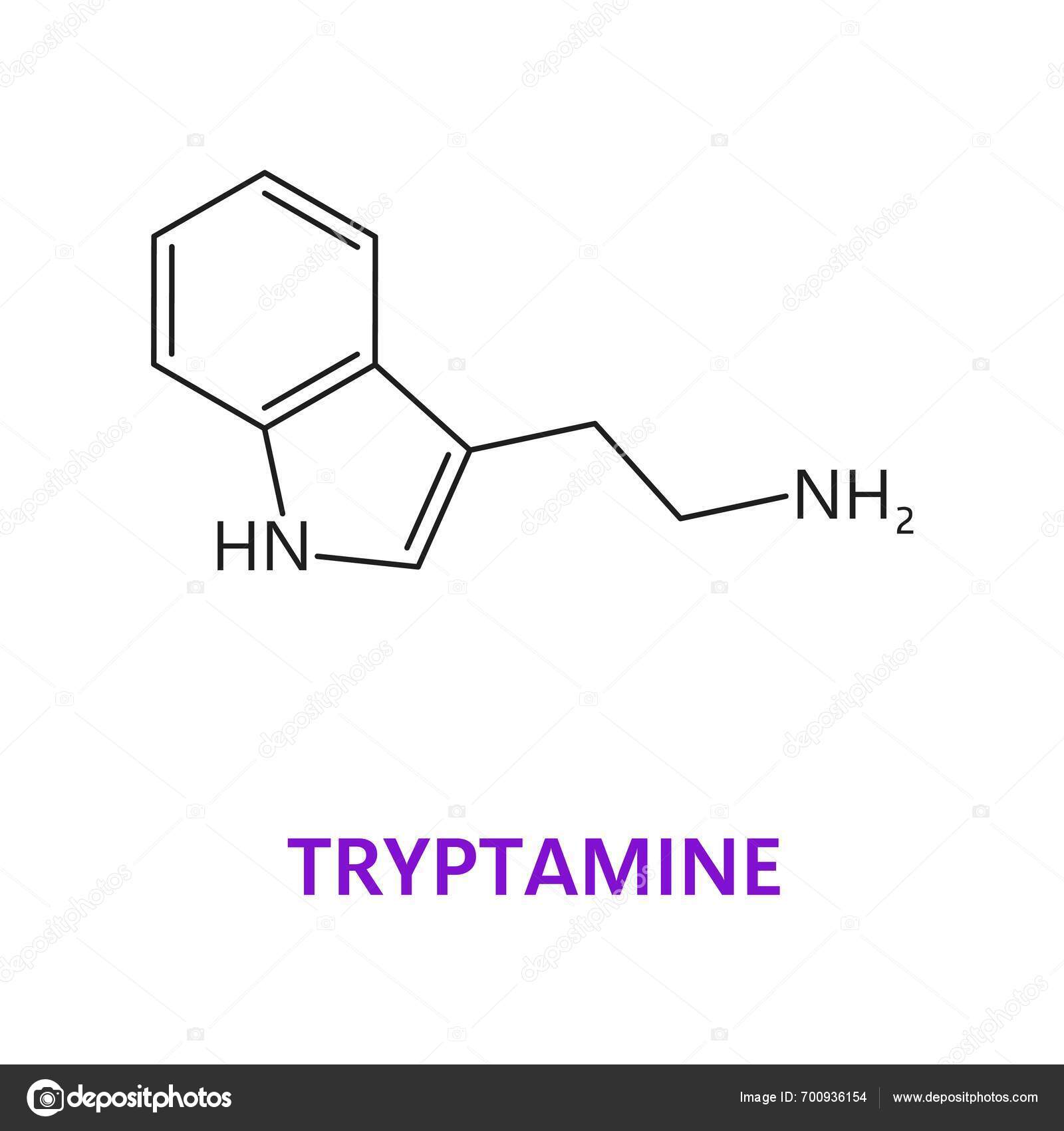 Neurotransmitter Tryptamine Chemical Formula Molecule Structure Vector ...