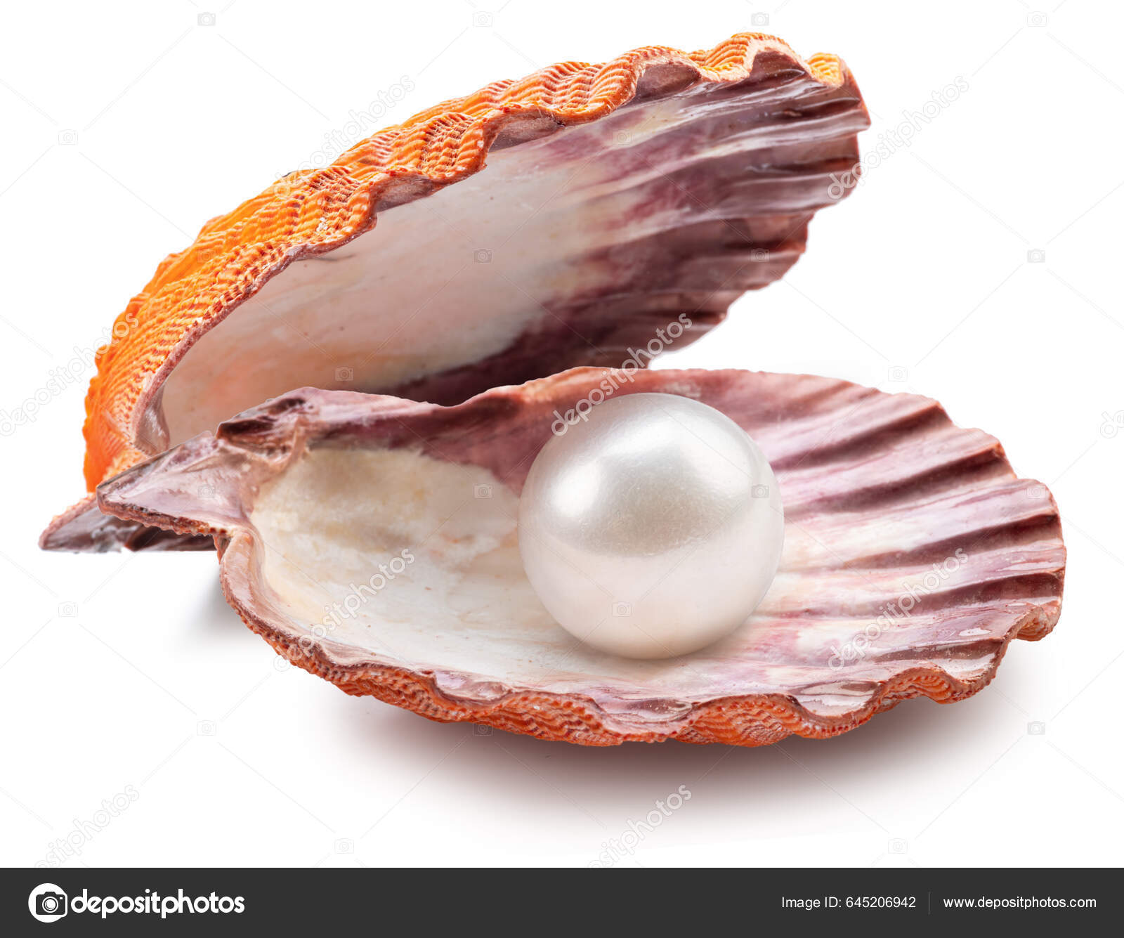 Scallops Pearls