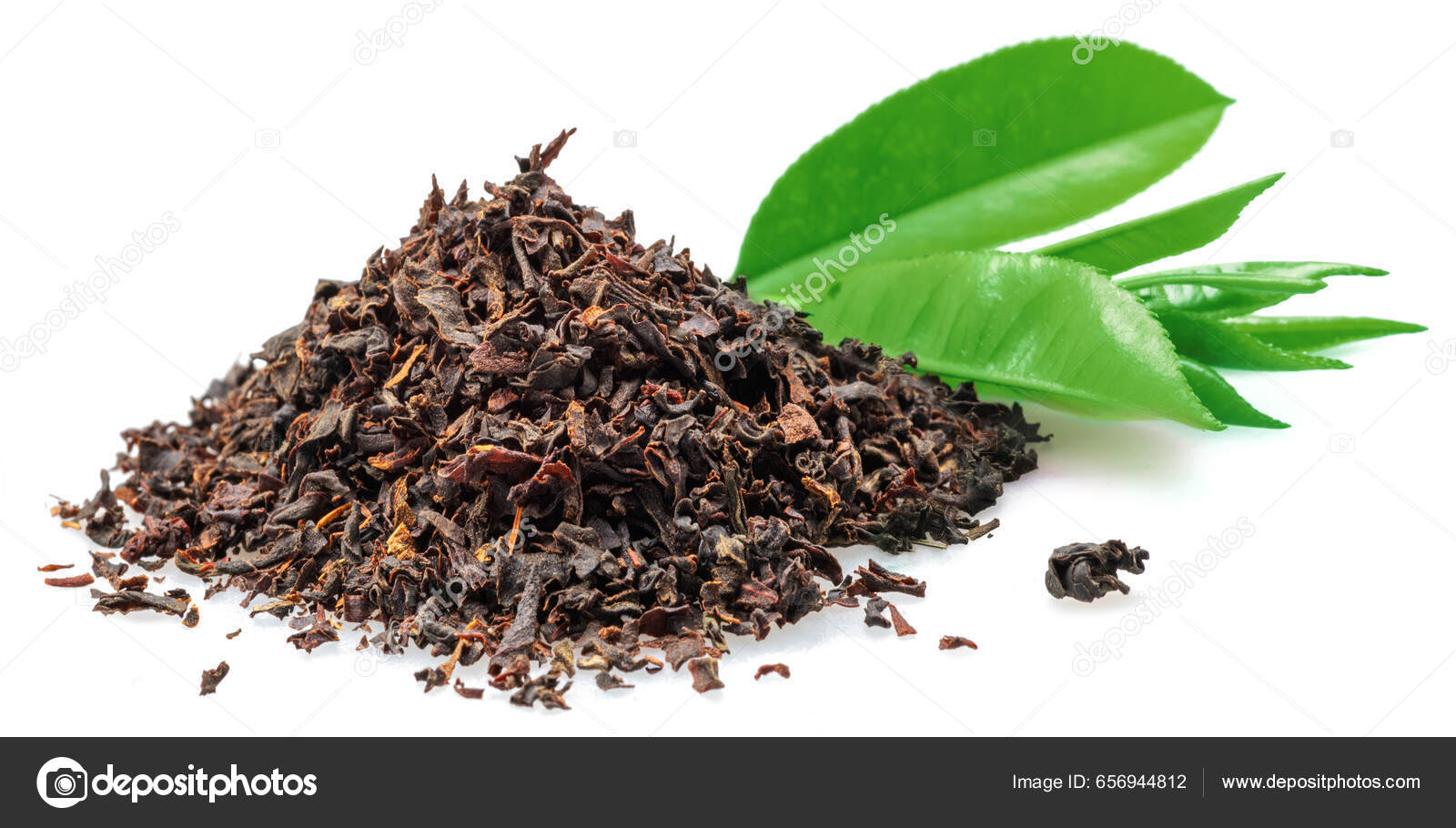 Heap Dried Tea Fresh Tea Leaves Isolated White Background Stock Photo ...