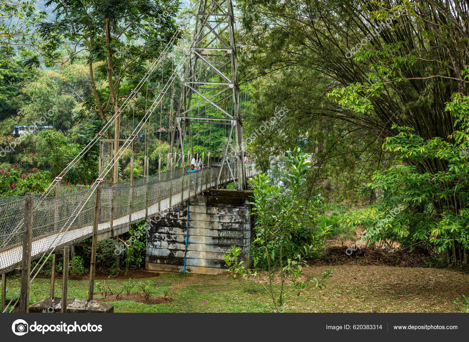 Royal Botanic King Gardens Peradeniya Kandy Sri Lanka – Stock Editorial ...
