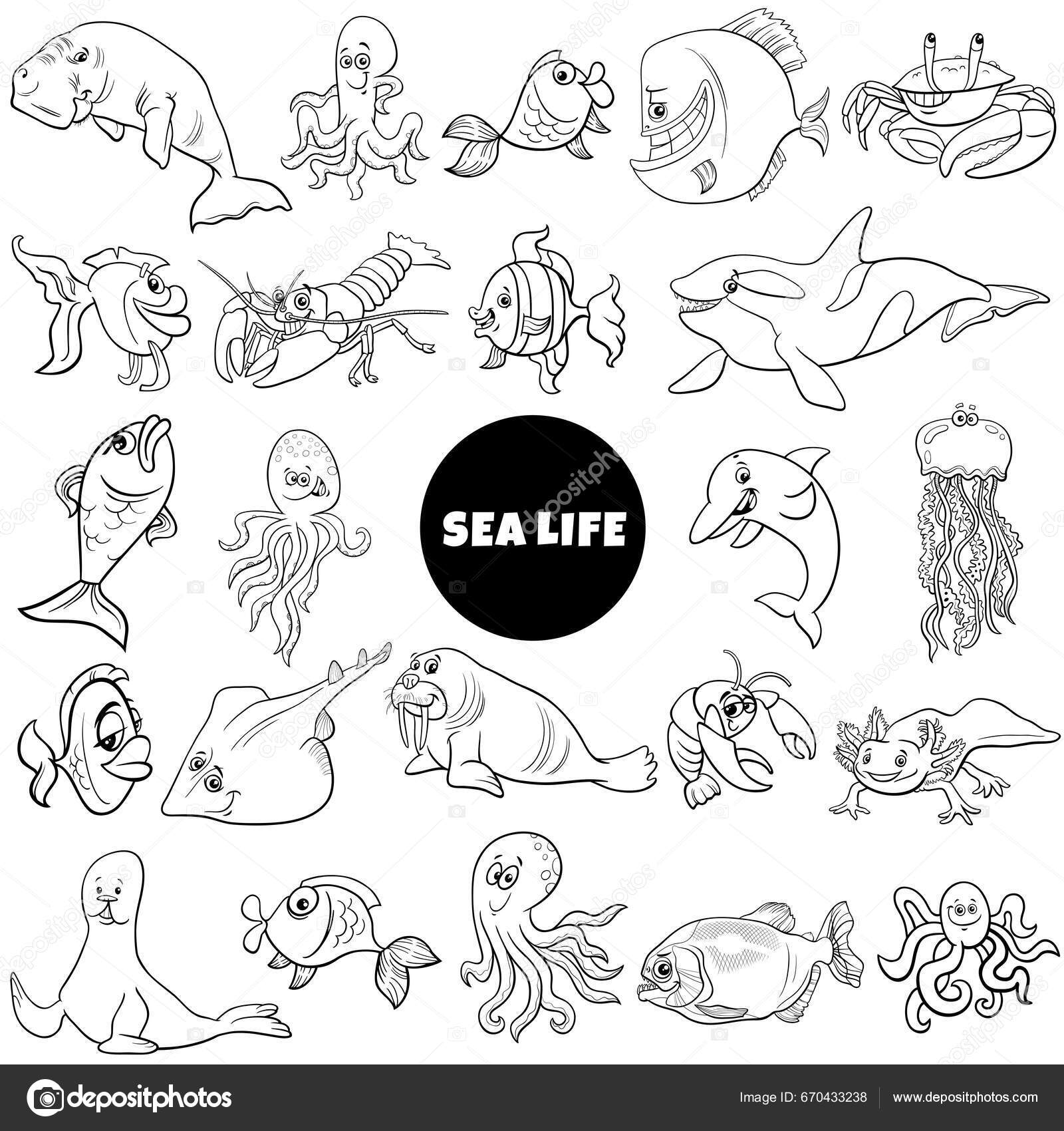 Dibujos Para Colorear De Animales Marinos