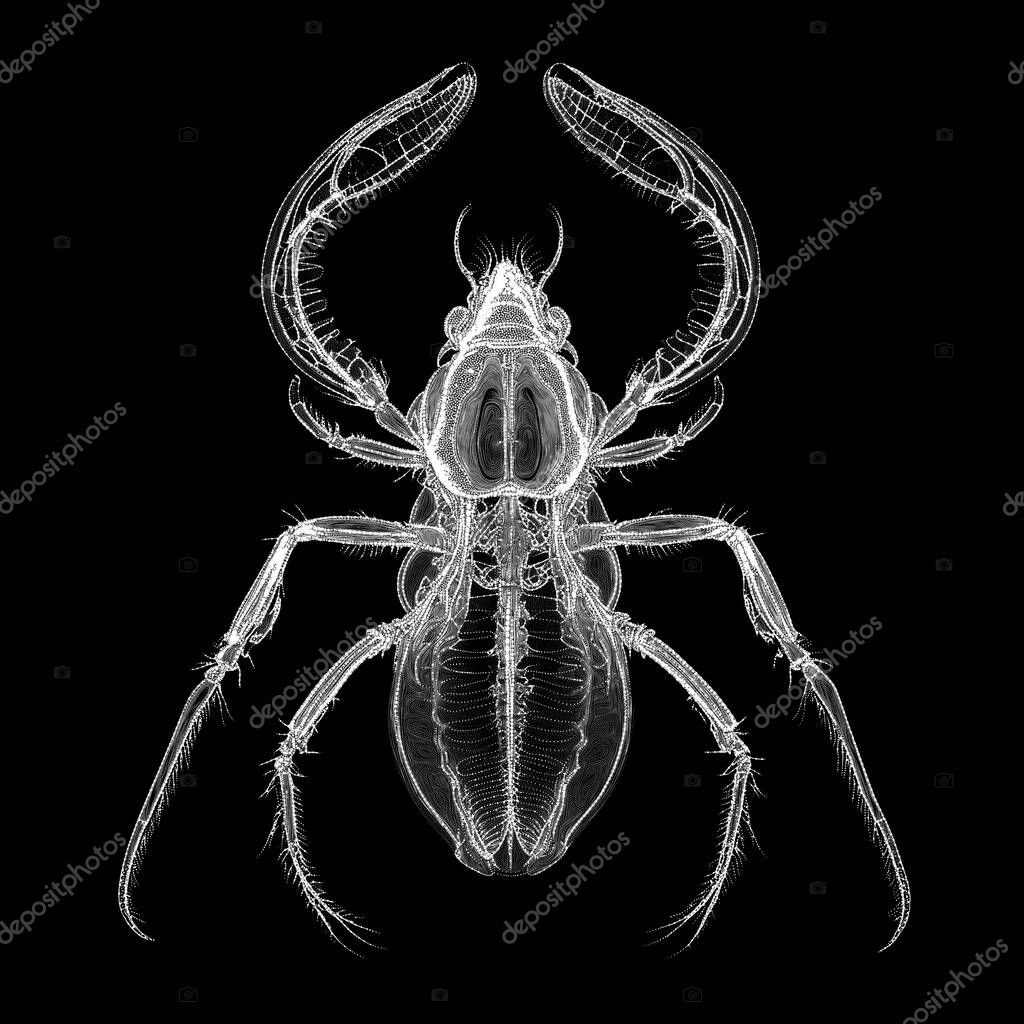 Lifeforms of creation series. Diseño de fondo de una forma de vida ...