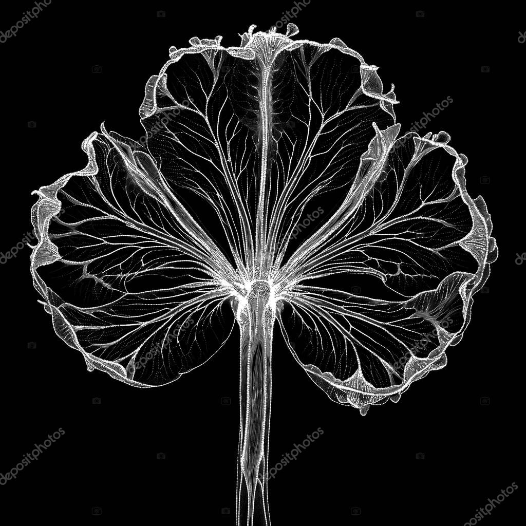 Lifeforms of creation series. Fondo compuesto por una silueta de forma ...