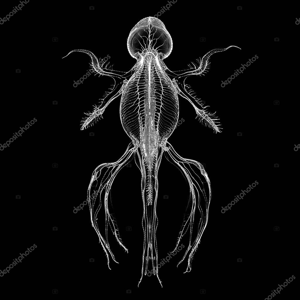 Lifeforms of creation series. Composición de fondo de una forma de vida ...