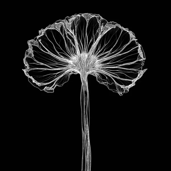 Lifeforms of creation series. Fondo compuesto por el concepto de forma ...