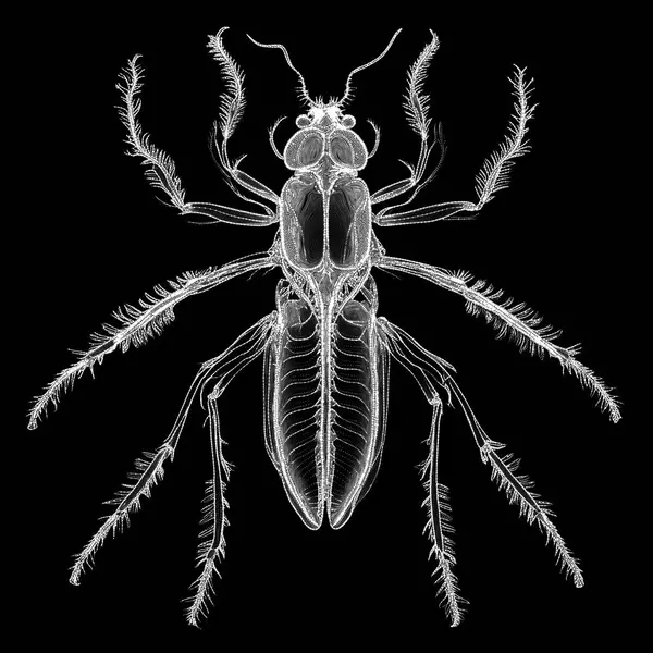 Lifeforms of creation series. Composición de una imagen que captura la ...