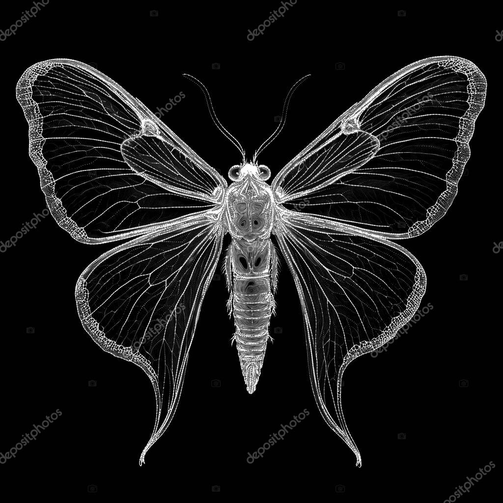 Lifeforms of creation series. Fondo compuesto por una obra de arte que ...