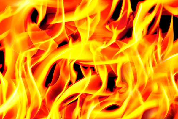 fire flames growing on black background. Shiny fire flame explosion ...