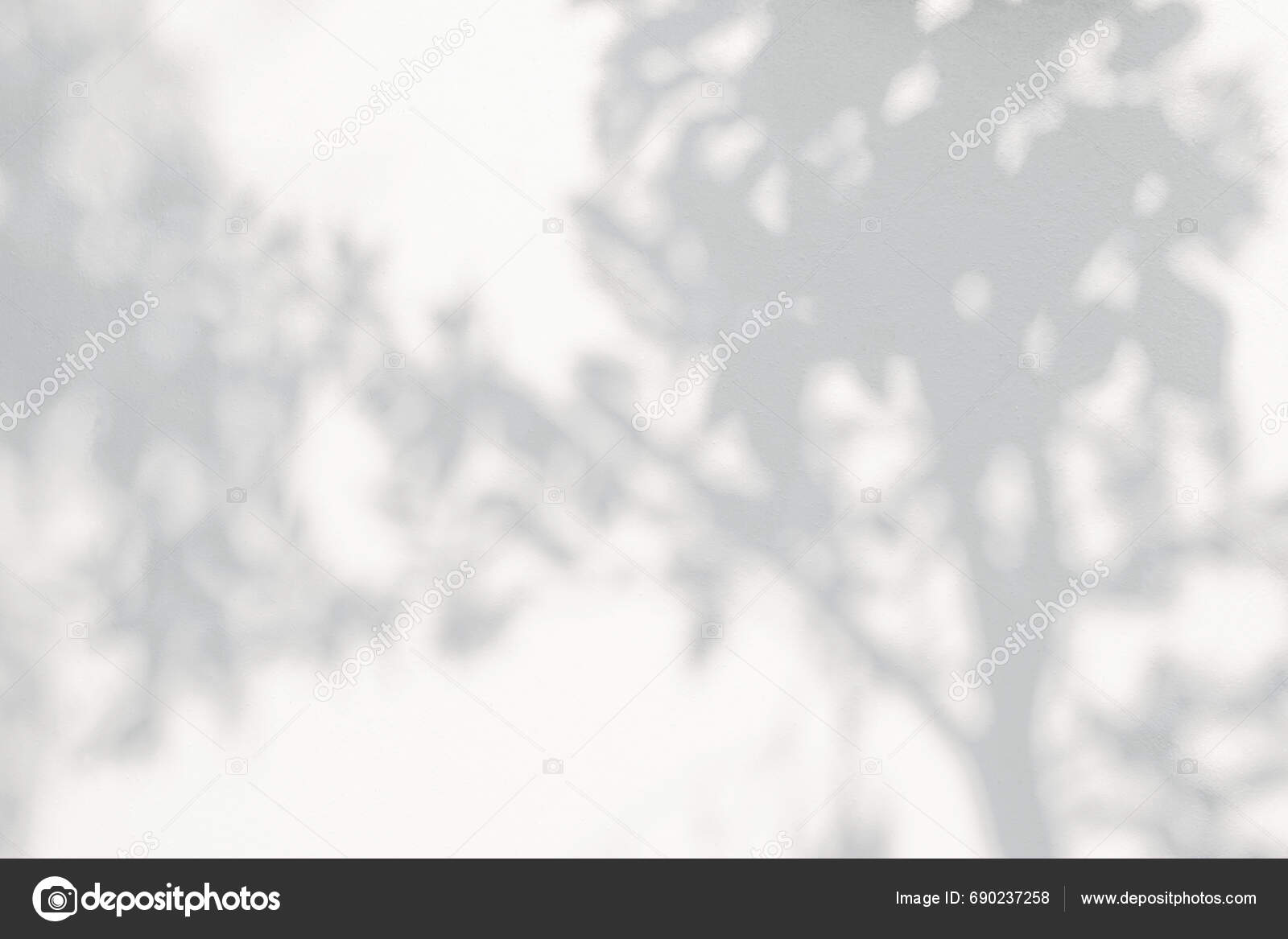 Tree Shadow Light Leaf Branch Background Nature Leaves Tropical Jungle ...