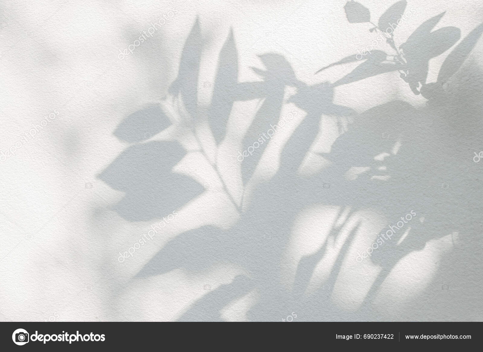 Shadow Sunshine Light Leaves Reflection Jungle Gray Darkness Leaf ...