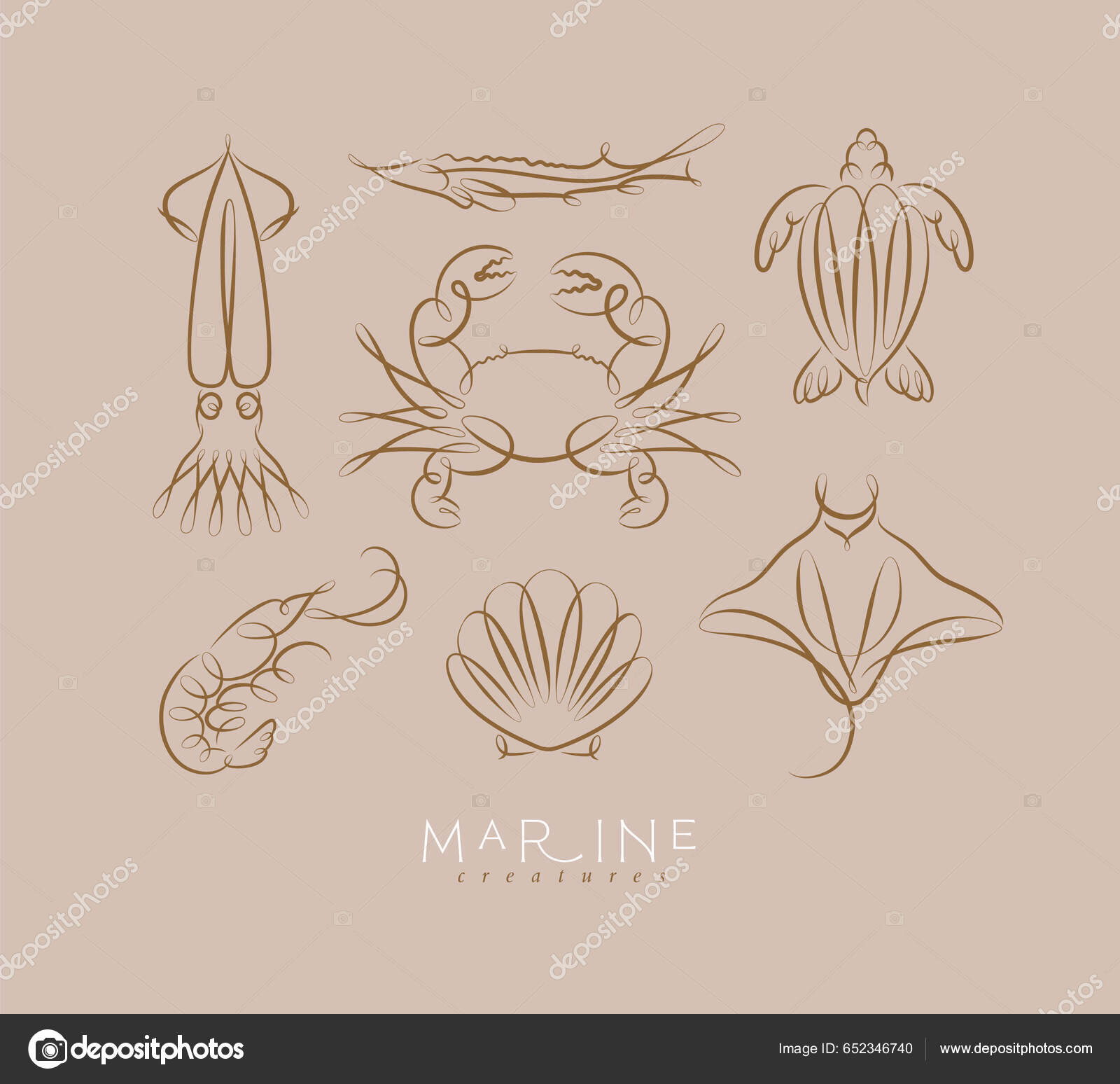 Filigrana Remolino Mar Océano Criaturas Calamar Peces Cangrejo Tortuga ...