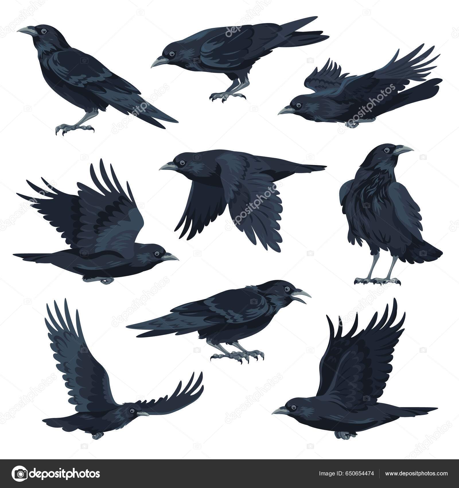 Kunst Av Flyvende Ravn