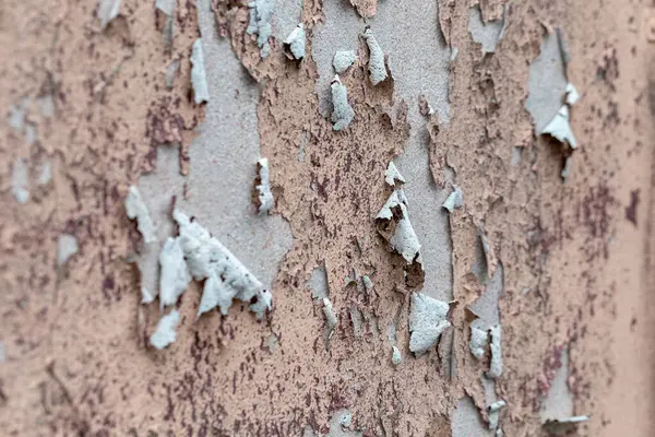 Peeling building Stock Photos, Royalty Free Peeling building Images ...