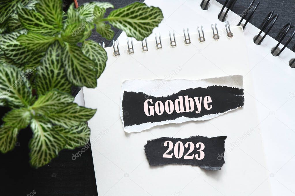 GOODBYE 2023 palabras sobre pequeños trozos de papel negro. 2024