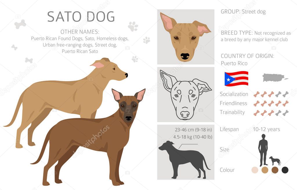 Sato perro clipart. Todos los colores del abrigo establecidos. Todas ...