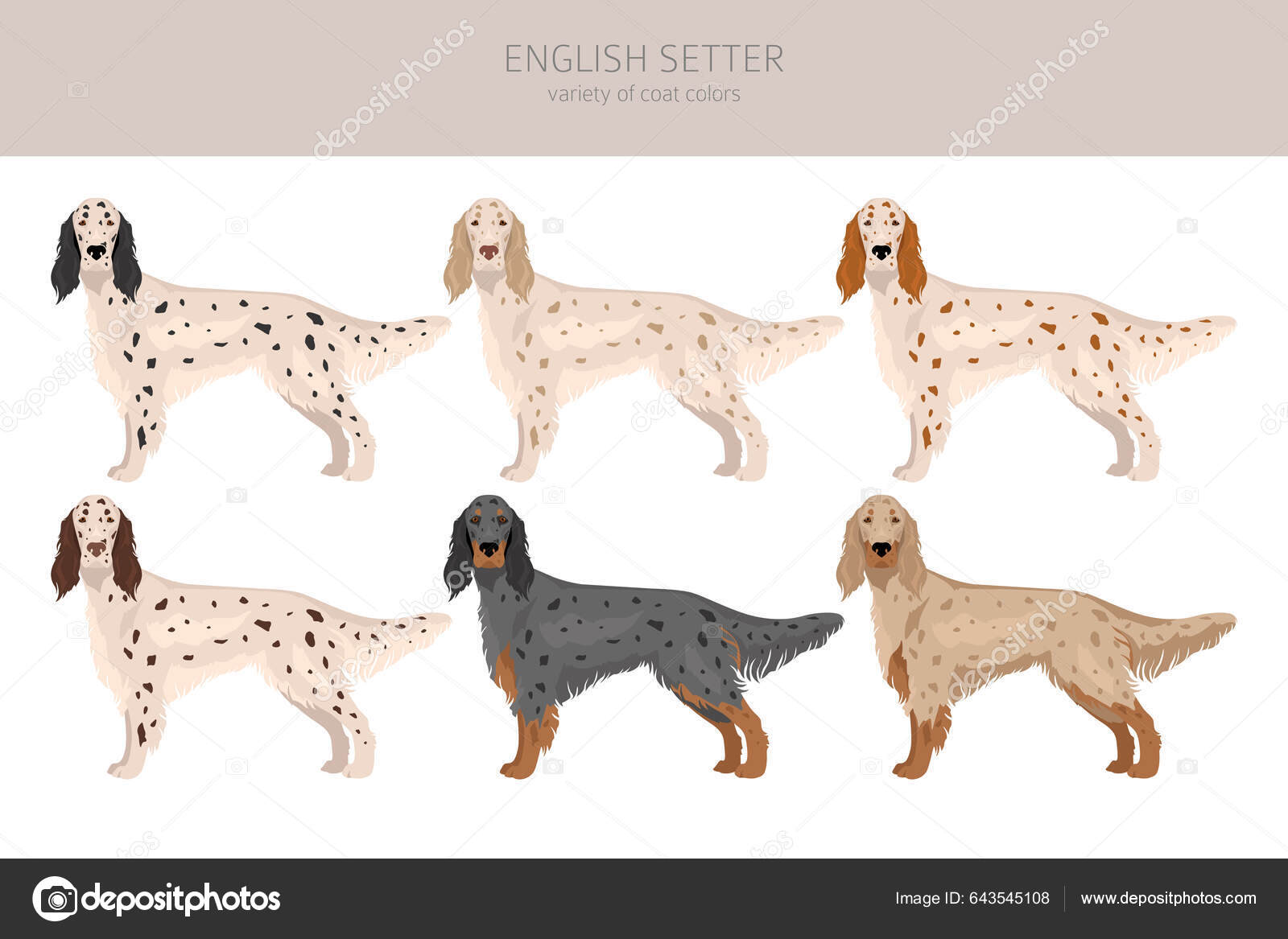 English Setter Pointing Drawing