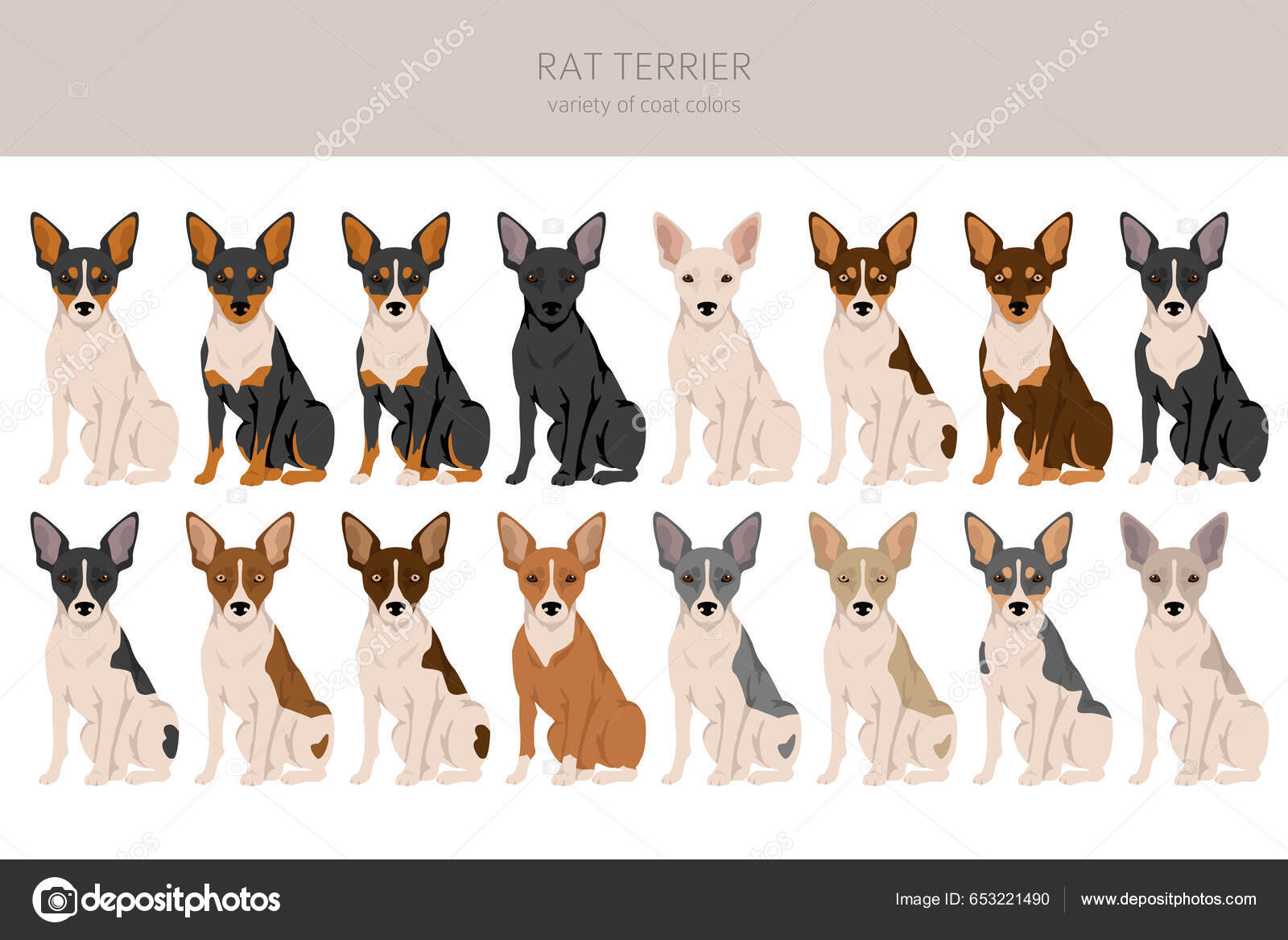 Vettoriale stockRat Terrier Clipart Posate Diverse Colori Del Cappotto ...