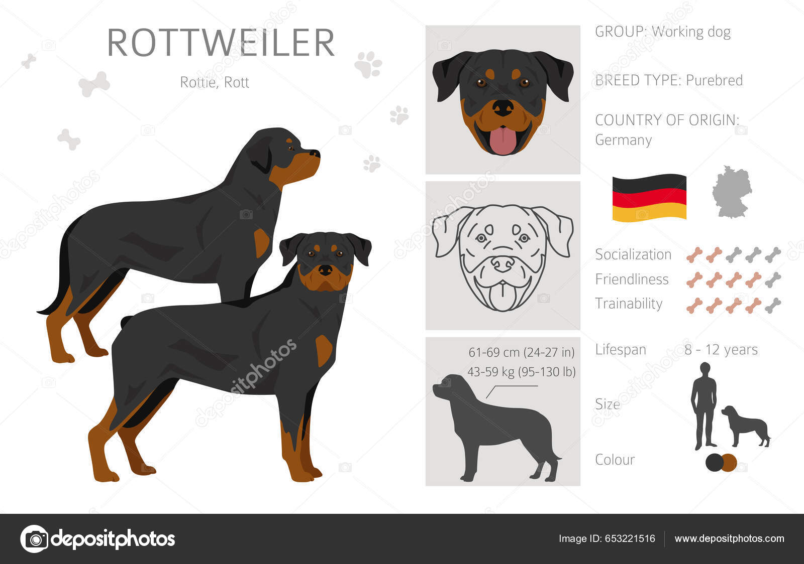 Clipart De Cachorro Rottweiler Rottweiler Dog Pattern" Sticker For