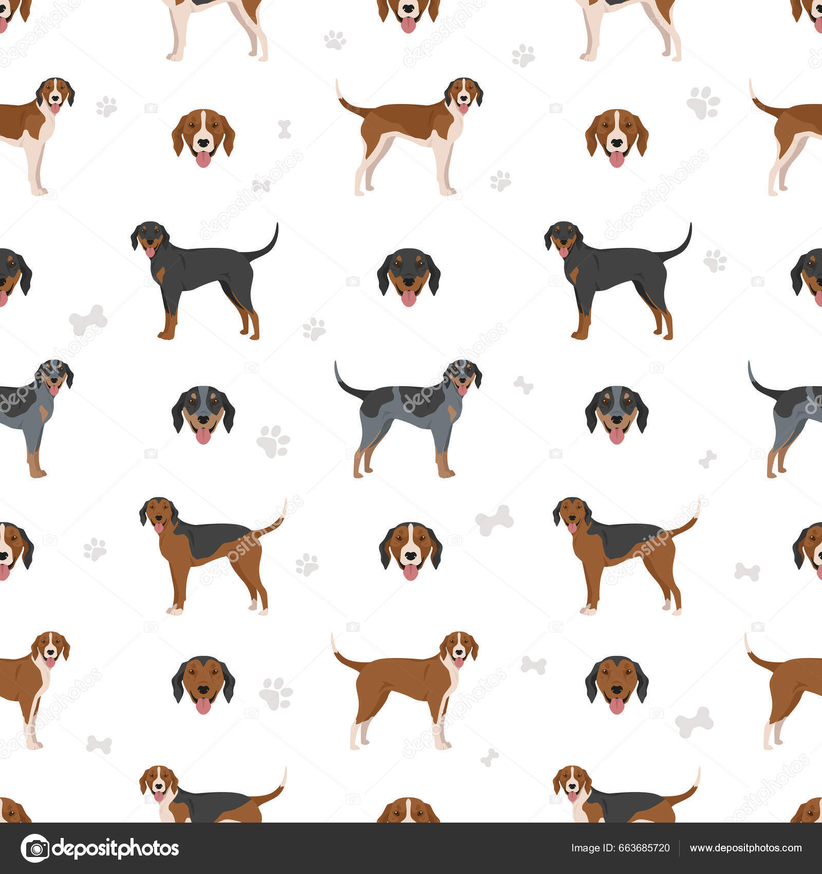American Foxhound All Colours Seamless Pattern Different Coat Colors ...