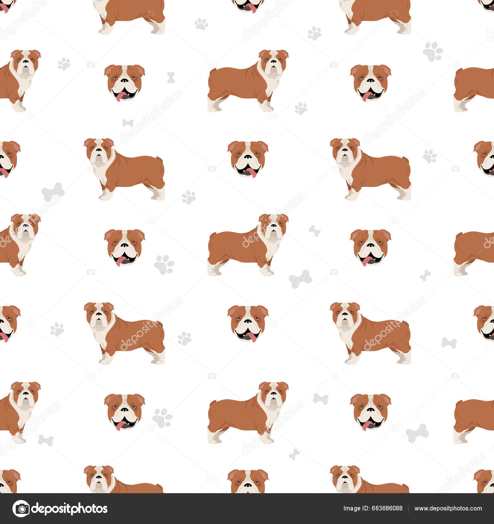 English Bulldog Seamless Pattern Different Poses Coat Colors Set Vector ...