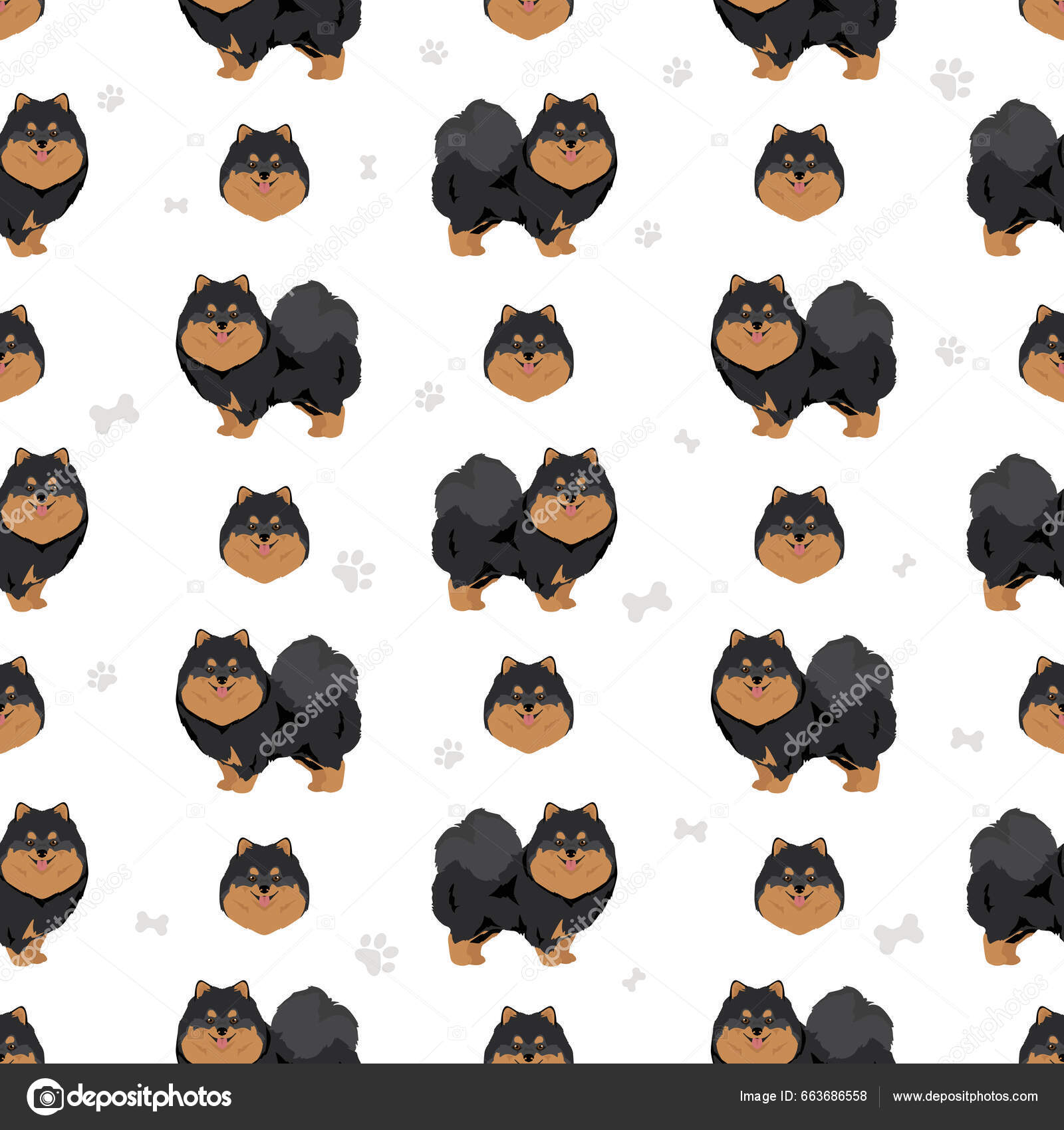 Pomeranian German Spitz Seamless Pattern Different Poses Coat Colors Set Stock Vector by ©A7880S ...
