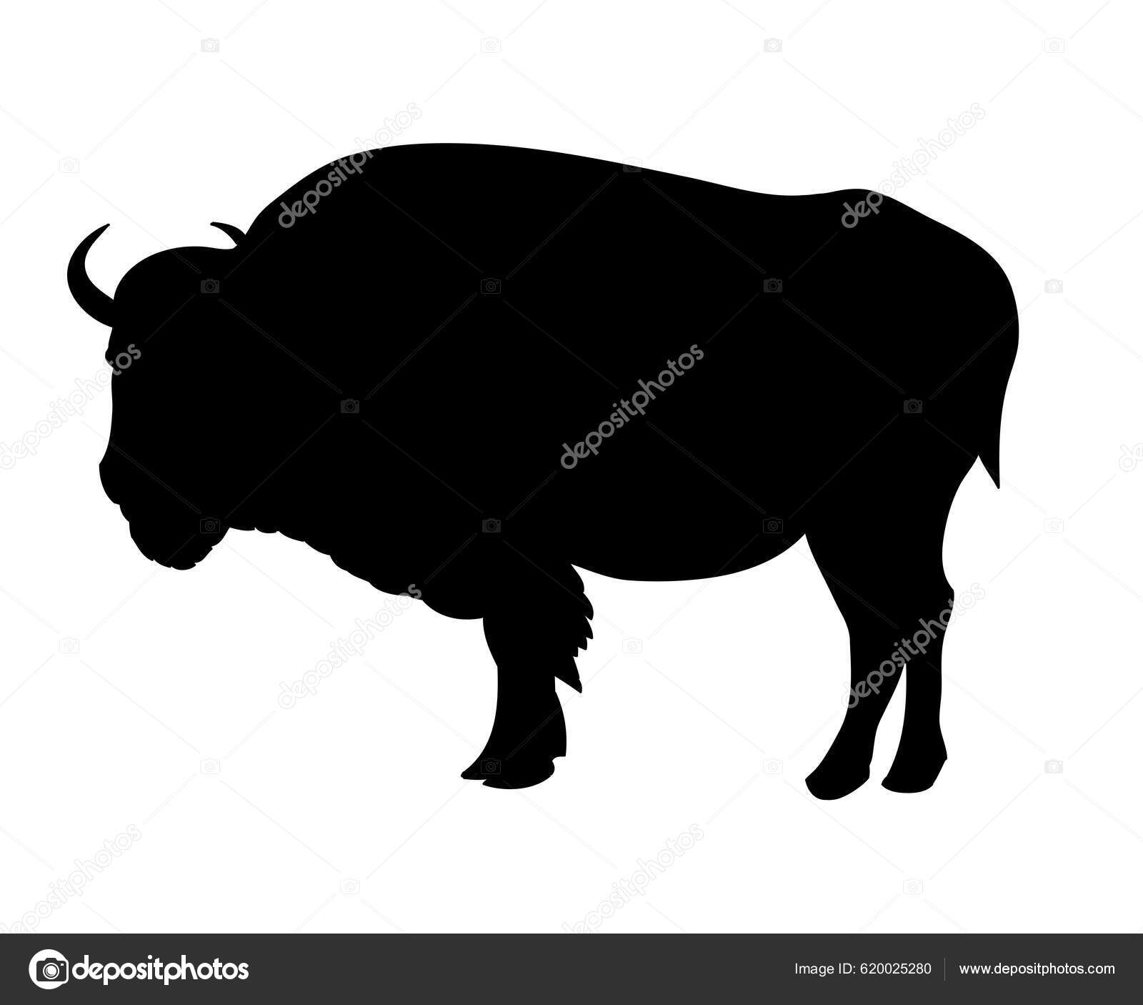Bison Vector Illustration Stock Vector by ©Deaurinko 620025280
