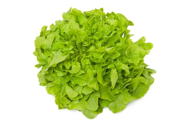 Lechuga picada fotos de stock, imágenes de Lechuga picada sin royalties ...