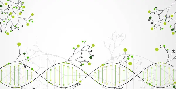 22,561,073 Genética vegetal Vector Images | Depositphotos