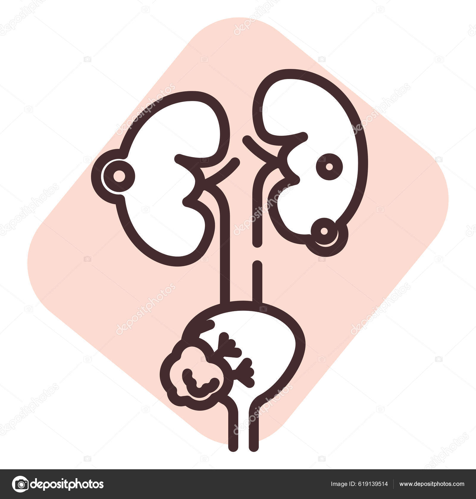 Medical Prostate Illustration Icon Vector White Background Stock Vector ...