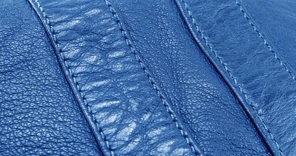 Blue leather Stock Photos, Royalty Free Blue leather Images | Depositphotos
